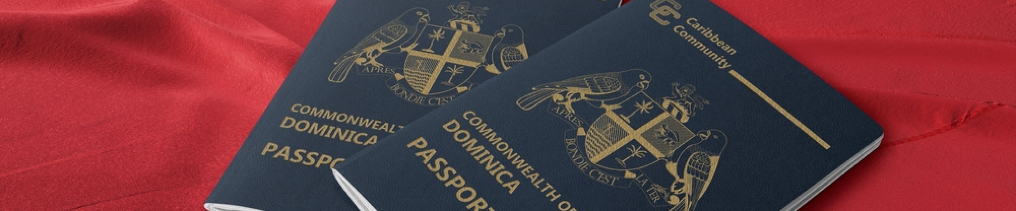 Dominican Passport Renewal: Process, Fees & Requirements